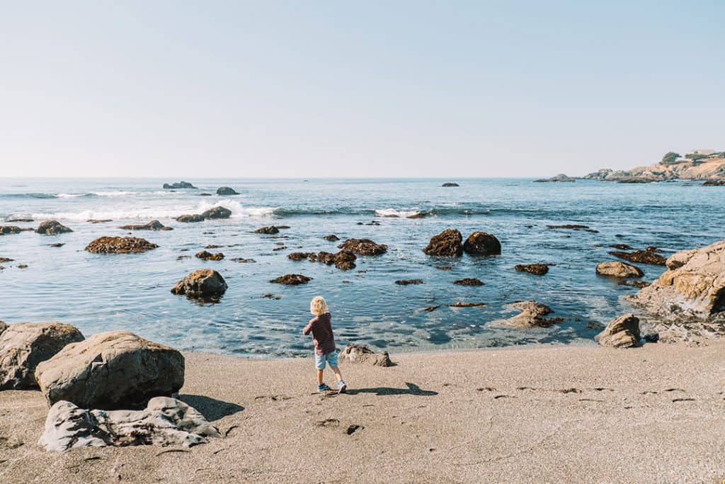 A Weekend Getaway in Sea Ranch, California