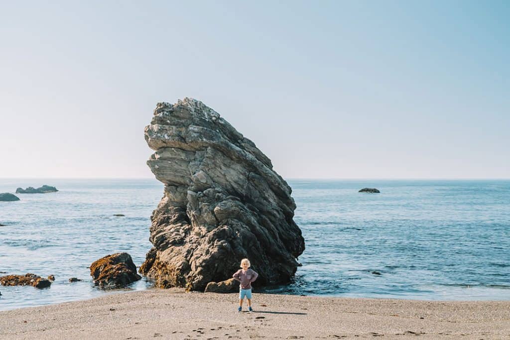 A Weekend Getaway in Sea Ranch, California