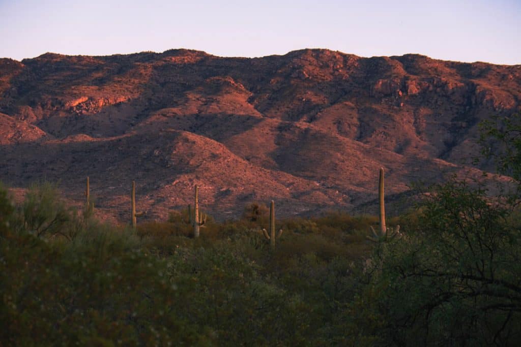 11 Best Tucson Hiking Trails