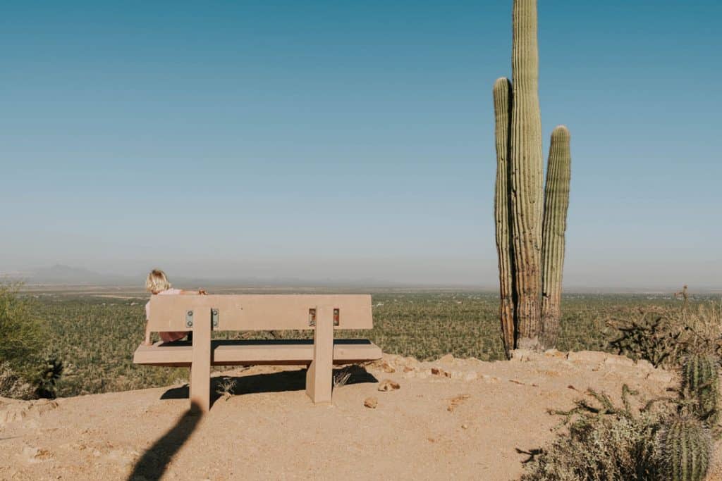 11 Best Tucson Hiking Trails