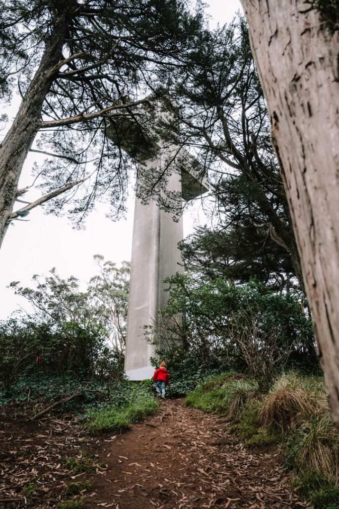 10 Best Hikes in San Francisco (for epic views in the city)