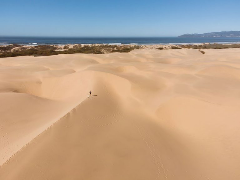 Pismo Beach Sand Dunes: The Essential Guide to Visiting Oceano Dunes